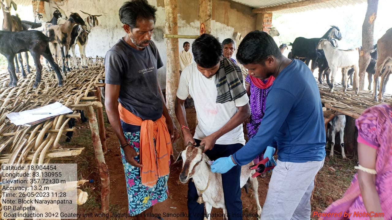 BUILDING SUSTAINABLE RURAL LIVELIHOODS